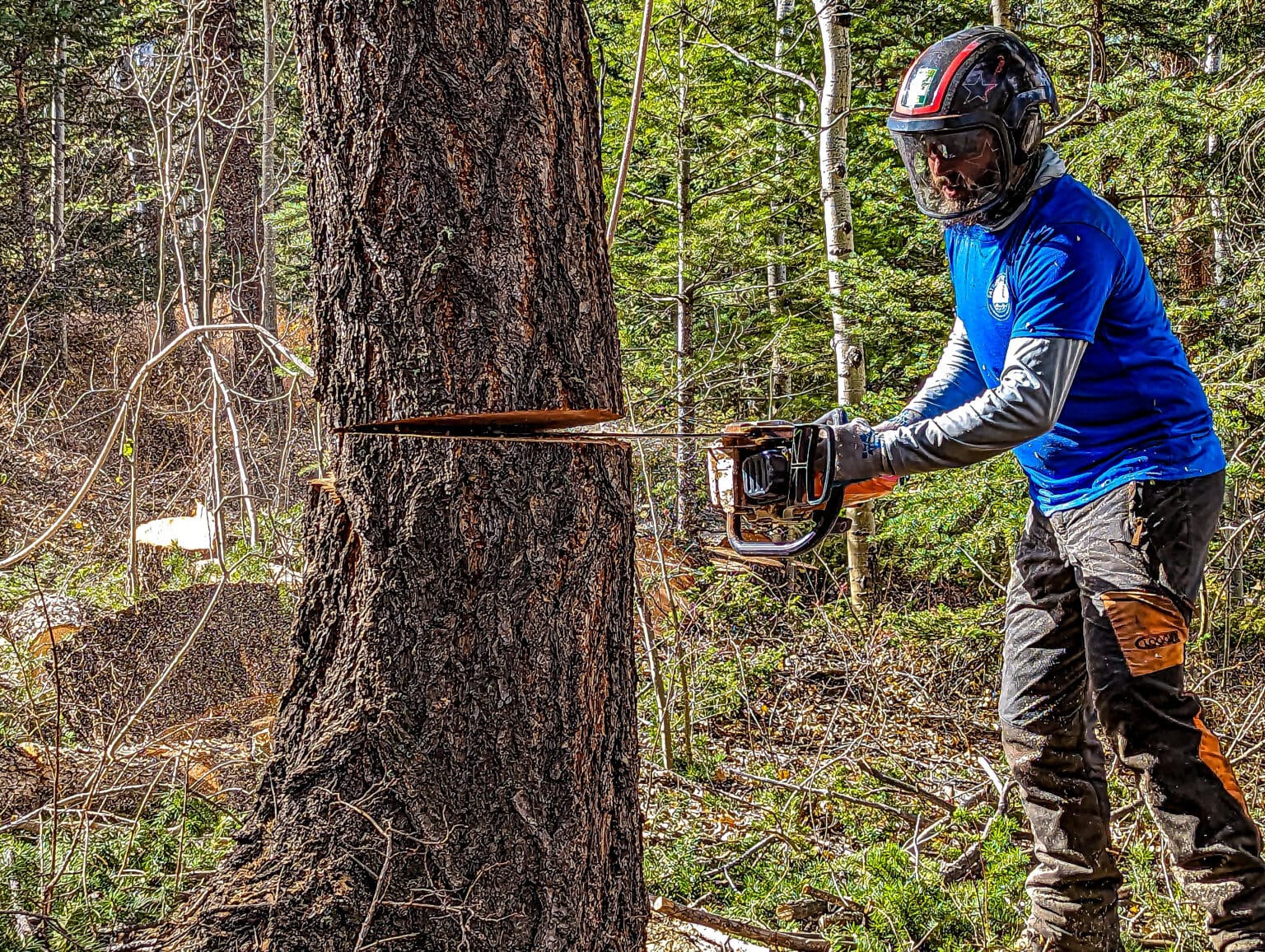 Boulder County Fire Mitigation | Patriot Tree Company